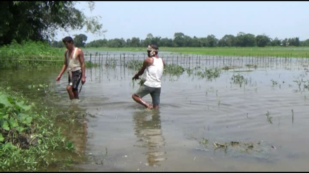 Assam: No compensation provided to Majuli’s flood affected people