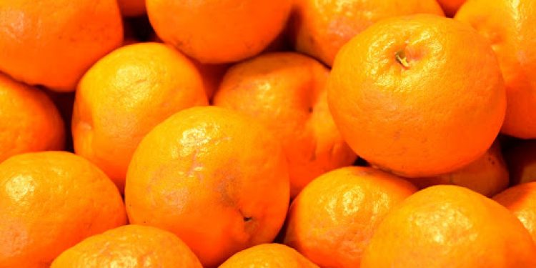 Meghalaya’s Khasi Mandarin oranges find pride of place in world’s first ...
