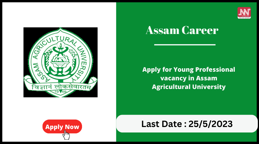 Assam Career : Apply for Young Professional vacancy in Assam ...