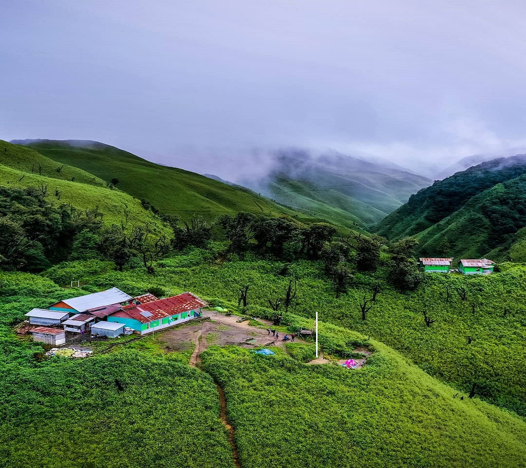 Dzukou Valley : An unique place to visit in Nagaland