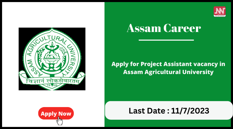 Assam Career : Apply for Project Assistant vacancy in Assam ...