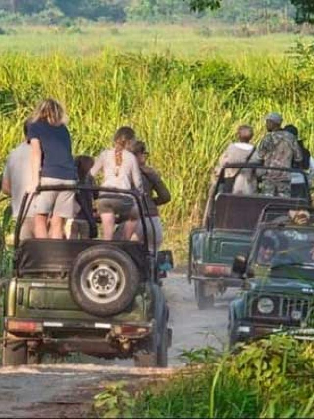 10 reasons why December is the best time to go on a safari trip in ... 10 reasons why December is the best time to go on a safari trip in ...