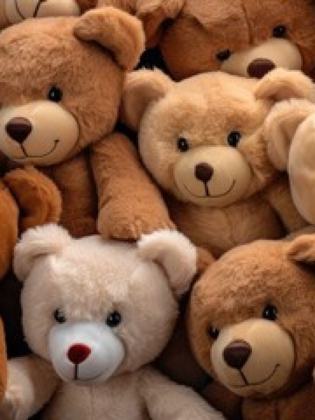 Teddy Day 2024 : The ageless love for teddy bears - NORTHEAST NOW