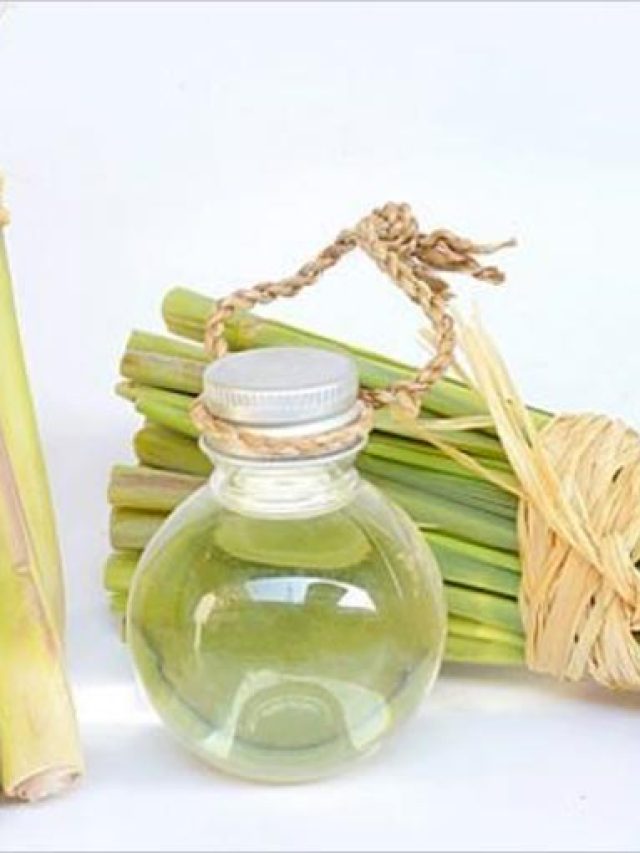 Benefits Of Lemongrass Oil Northeast Now